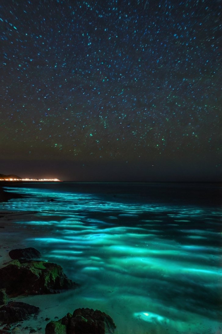 5 Bioluminescent Beaches That Will Blow Your Mind - Future Imaginations