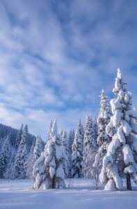Capturing the Magic of Snow: A Winter Landscape Photography Guide