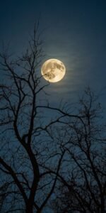 The Aesthetic Appeal of the Full Moon